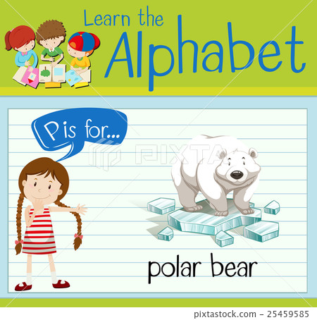 Flashcard letter P is for polar bear - Stock Illustration [25459585 ...