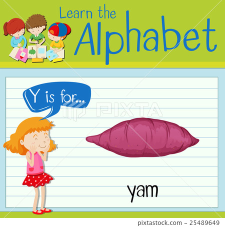 Flashcard letter Y is for yam - Stock Illustration [25489649] - PIXTA