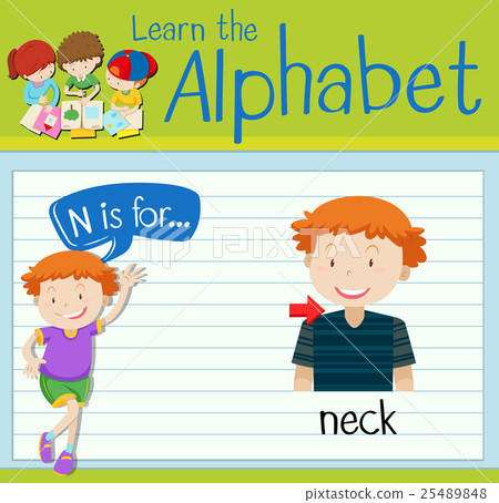 Flashcard letter N is for neck - Stock Illustration [25489848] - PIXTA