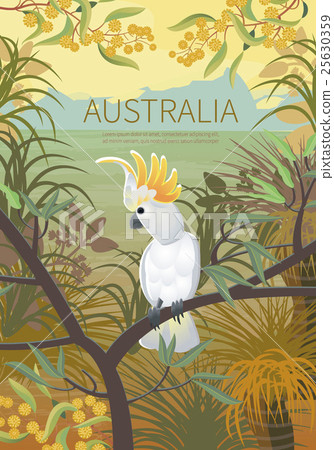 Australian landscape poster. - Stock Illustration [25630359] - PIXTA