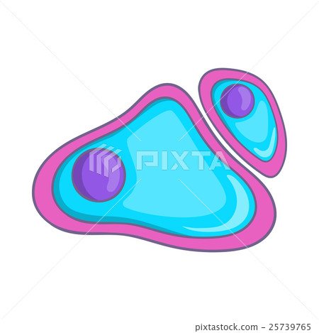 Cell nucleus icon, cartoon style - Stock Illustration [25739765] - PIXTA