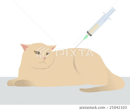 Cat and injection - Stock Illustration [25842103] - PIXTA