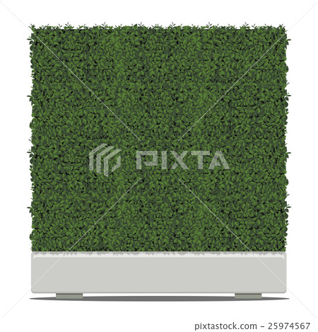 Green tree cube shape in potson white background. - Stock Illustration ...