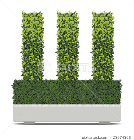 Tree cube shape in pots on white background. - Stock Illustration ...