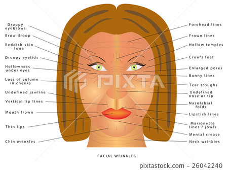 Ageing face changes - Stock Illustration [26042240] - PIXTA