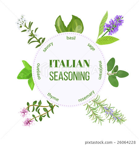 Italian seasoning. Vector - Stock Illustration [26064228] - PIXTA