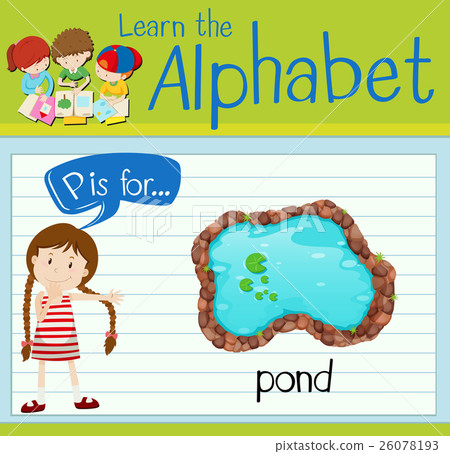 Flashcard alphabet P is for pond - Stock Illustration [26078193] - PIXTA