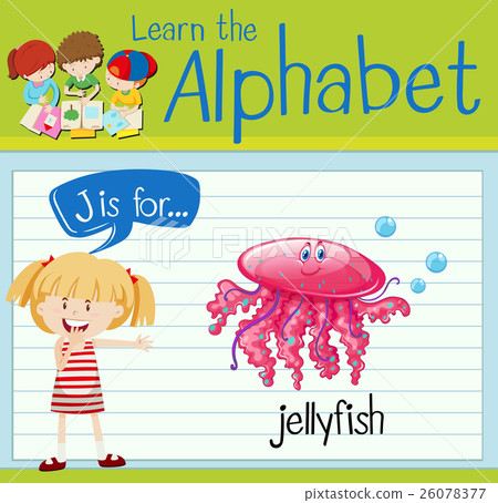 Flashcard letter J is for jellyfish - Stock Illustration [26078377] - PIXTA