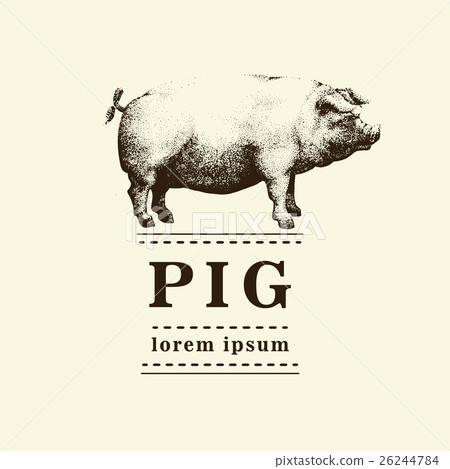 Vector illustration of pig, hand drawing . - Stock Illustration ...