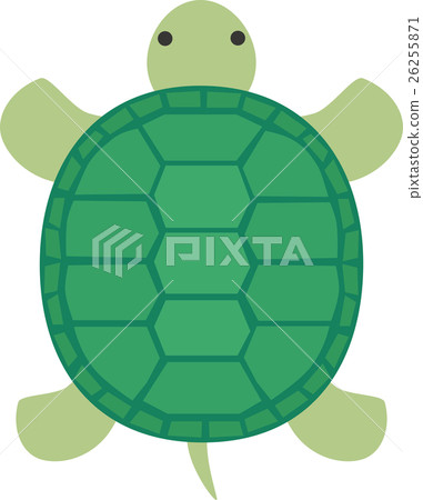 Green tortoise - Stock Illustration [26255871] - PIXTA