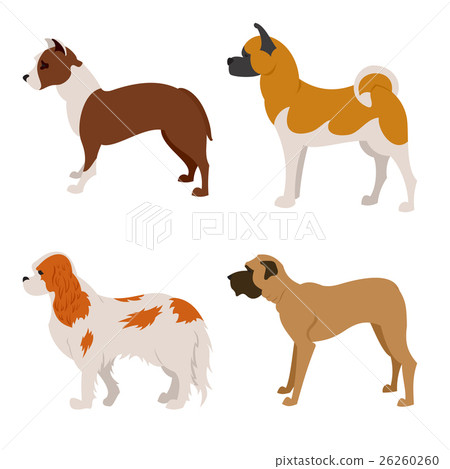 Collection of purebred dogs isolated on white - Stock Illustration ...