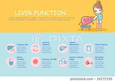 infographic of liver - Stock Illustration [26272350] - PIXTA