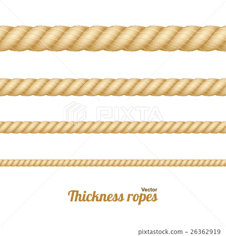 Rope Texture Vector