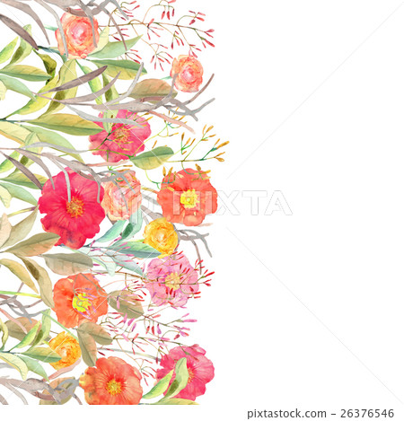 Vector floral border. Isolated roses and wild - Stock Illustration ...