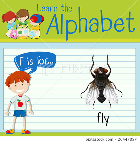 Flashcard letter F is for fly - Stock Illustration [26447857] - PIXTA