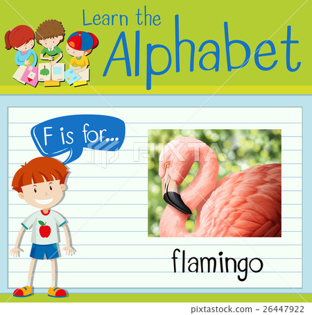 Flashcard letter F is for flamingo - Stock Illustration [26447922] - PIXTA