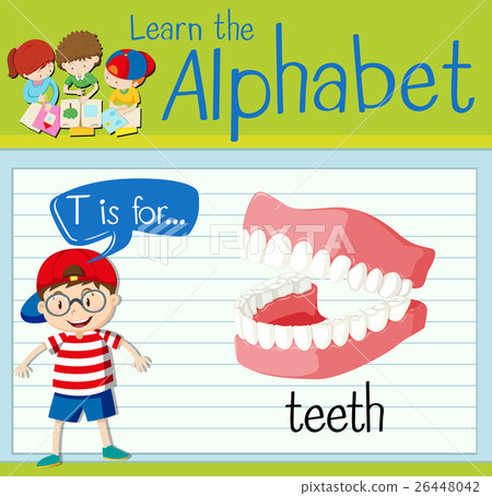 Flashcard letter T is for teeth - Stock Illustration [26448042] - PIXTA