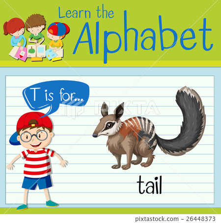 Flashcard letter T is for tail - Stock Illustration [26448373] - PIXTA