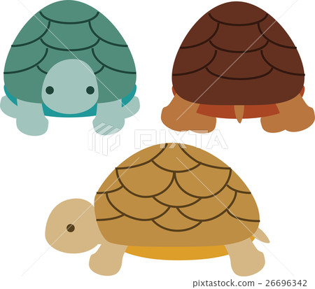Turtles facing various directions - Stock Illustration [26696342] - PIXTA