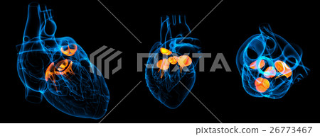3d render illustration of the Heart valve - Stock Illustration ...