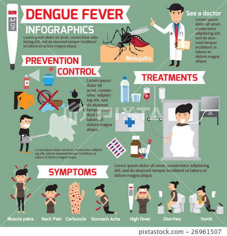 Dengue fever infographics. - Stock Illustration [26961507] - PIXTA