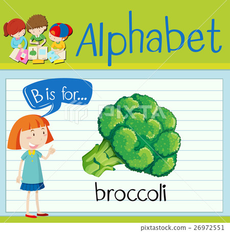 Flashcard letter B is for broccoli - Stock Illustration [26972551] - PIXTA