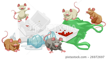 Rats in the trash pile - Stock Illustration [26972697] - PIXTA