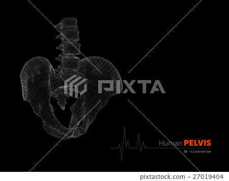 illustration pelvis abstract scientific background - Stock Illustration ...