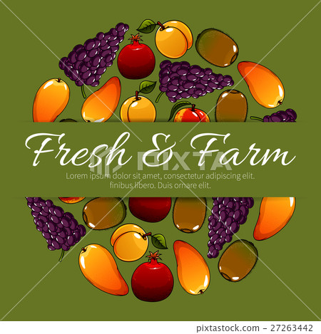 Fruit poster of vector fresh farm fruits harvest - Stock Illustration ...