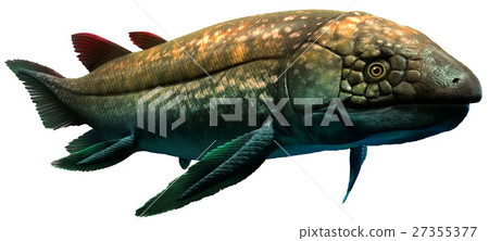 Dipterus - Stock Illustration [27355377] - PIXTA