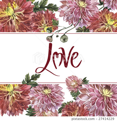 Wildflower aster flower frame in a watercolor - Stock Illustration ...