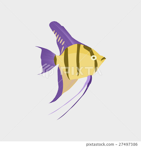 Vector illustration in flat style angelfish - Stock Illustration ...