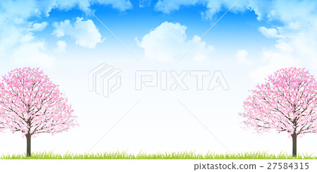 Sakura spring flower background - Stock Illustration [27584315] - PIXTA