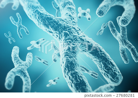XY-chromosomes as a concept for human biology - Stock Illustration ...