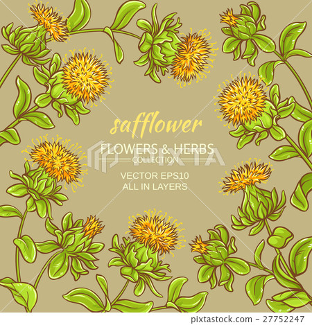 safflower vector frame - Stock Illustration [27752247] - PIXTA