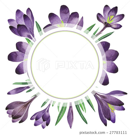 Wildflower crocuses flower frame in a watercolor - Stock Illustration ...