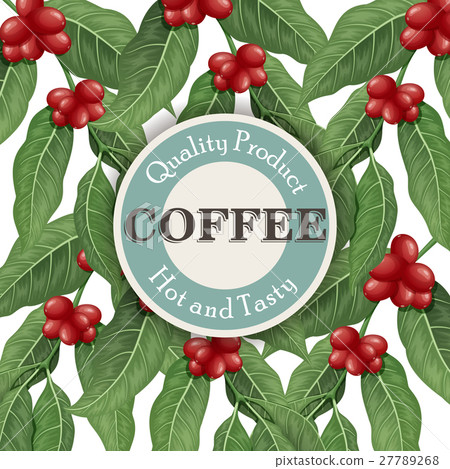 Coffee tree illustration. Coffee design template - Stock Illustration ...