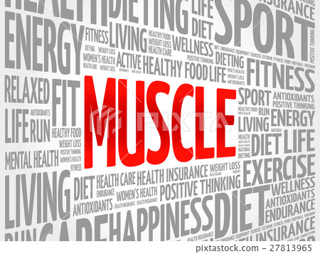 Muscle word cloud background - Stock Illustration [27813965] - PIXTA