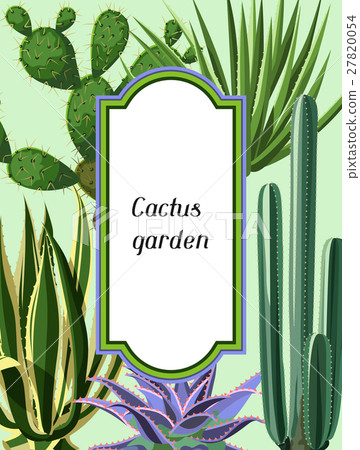 Frame with cactuses and succulents set. Plants of - Stock Illustration ...
