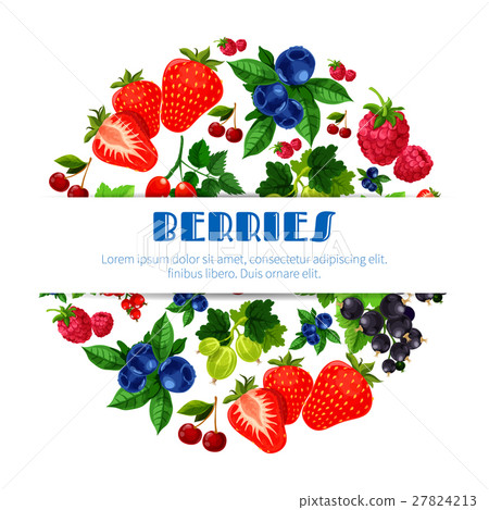 Fresh berries vector poster of berry bunch - Stock Illustration ...