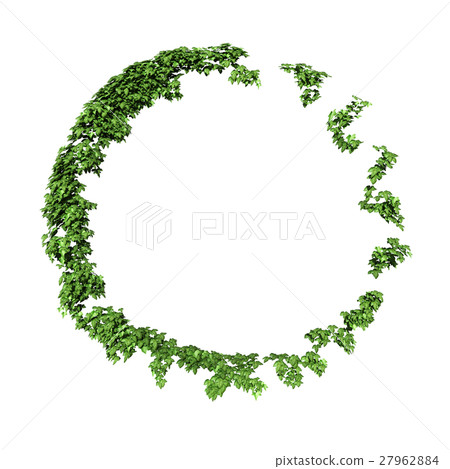 A circular ivy - Stock Illustration [27962884] - PIXTA