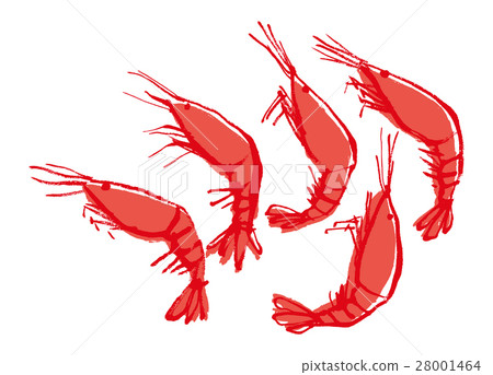Shrimp prawn watercolor drawing hand-painted - Stock Illustration ...