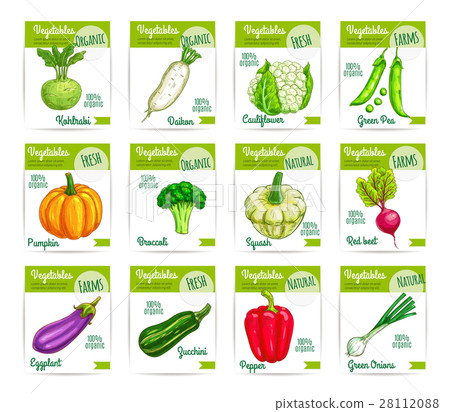 Vegetables veggies vector price cards labels set - Stock Illustration ...