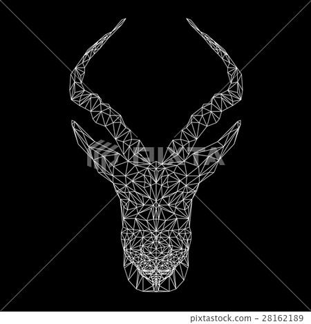 Vector gazelle thin line style. Springbok low poly - Stock Illustration ...