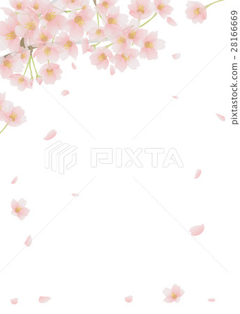 Sakura Mai scattering Japanese pattern - Stock Illustration [28166669 ...