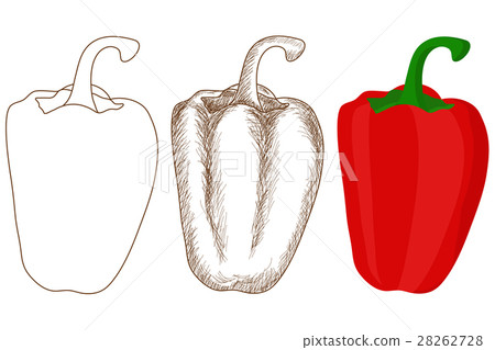 Pepper. Outline contour, doodle, colored drawing - Stock Illustration ...
