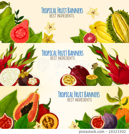 Exotic tropical fruit banner set for food design - Stock Illustration ...