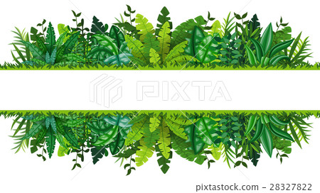 Illustration of a tropical rainforest banner - Stock Illustration ...