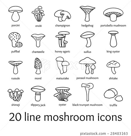 twenty line mosroom icons - Stock Illustration [28483163] - PIXTA