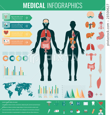 Medical Infographic set with charts and other - Stock Illustration ...